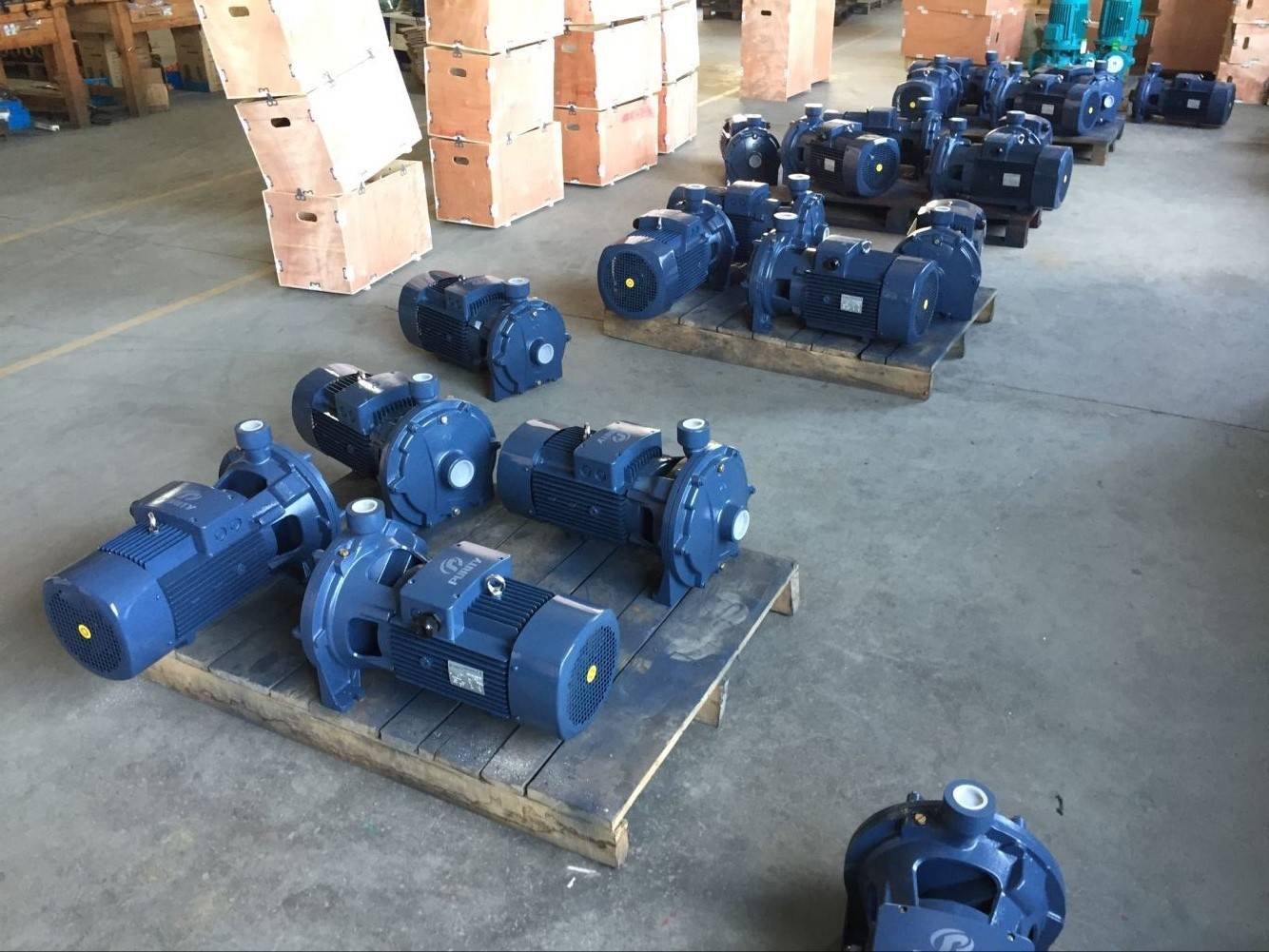 Purity Pump centrifugal water pumps industrial inline pumps fire pumps