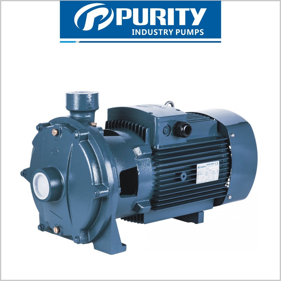 Purity Pump centrifugal water pumps industrial inline pumps fire pumps