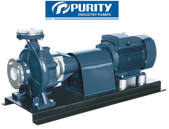 Purity Pump centrifugal water pumps industrial inline pumps fire pumps