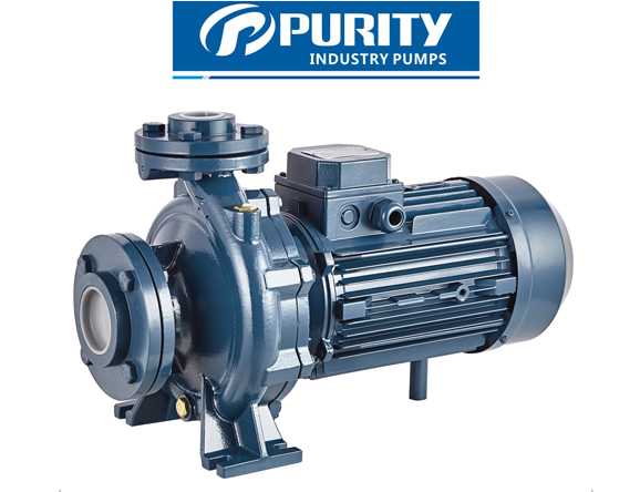 Purity Pump centrifugal water pumps industrial inline pumps fire pumps