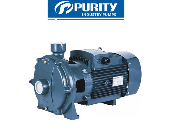 Purity Pump centrifugal water pumps industrial inline pumps fire pumps