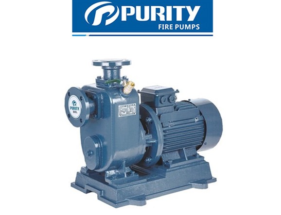 Purity Pump centrifugal water pumps industrial inline pumps fire pumps