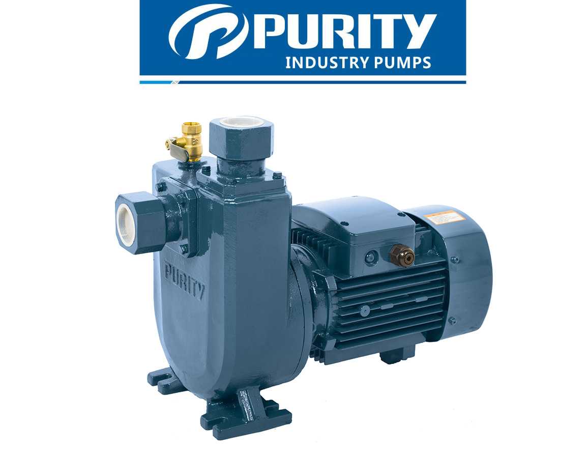 Purity Pump centrifugal water pumps industrial inline pumps fire pumps