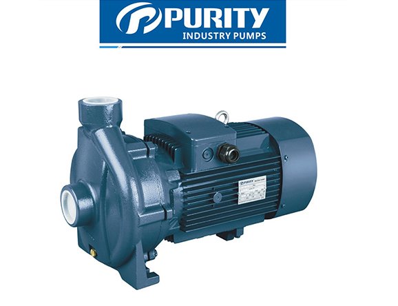 Purity Pump centrifugal water pumps industrial inline pumps fire pumps