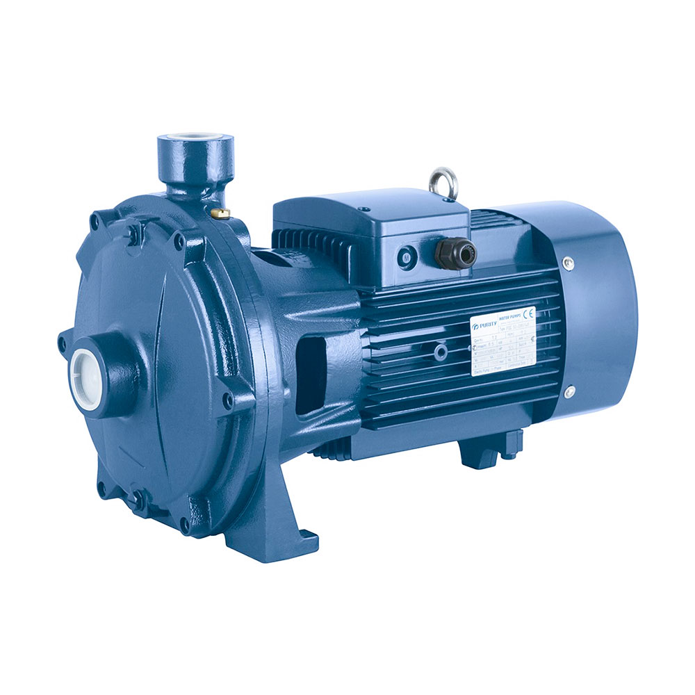 Purity Pump centrifugal water pumps industrial inline pumps fire pumps